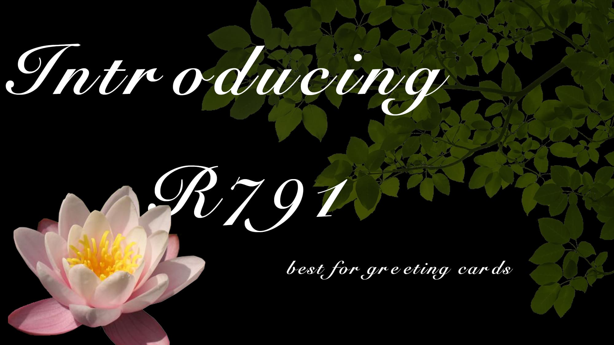 R791 Script Regular Font | Free Font Download | Download Thousands of ... R791 Script Regular Font | Free Font Download | Download Thousands of ...